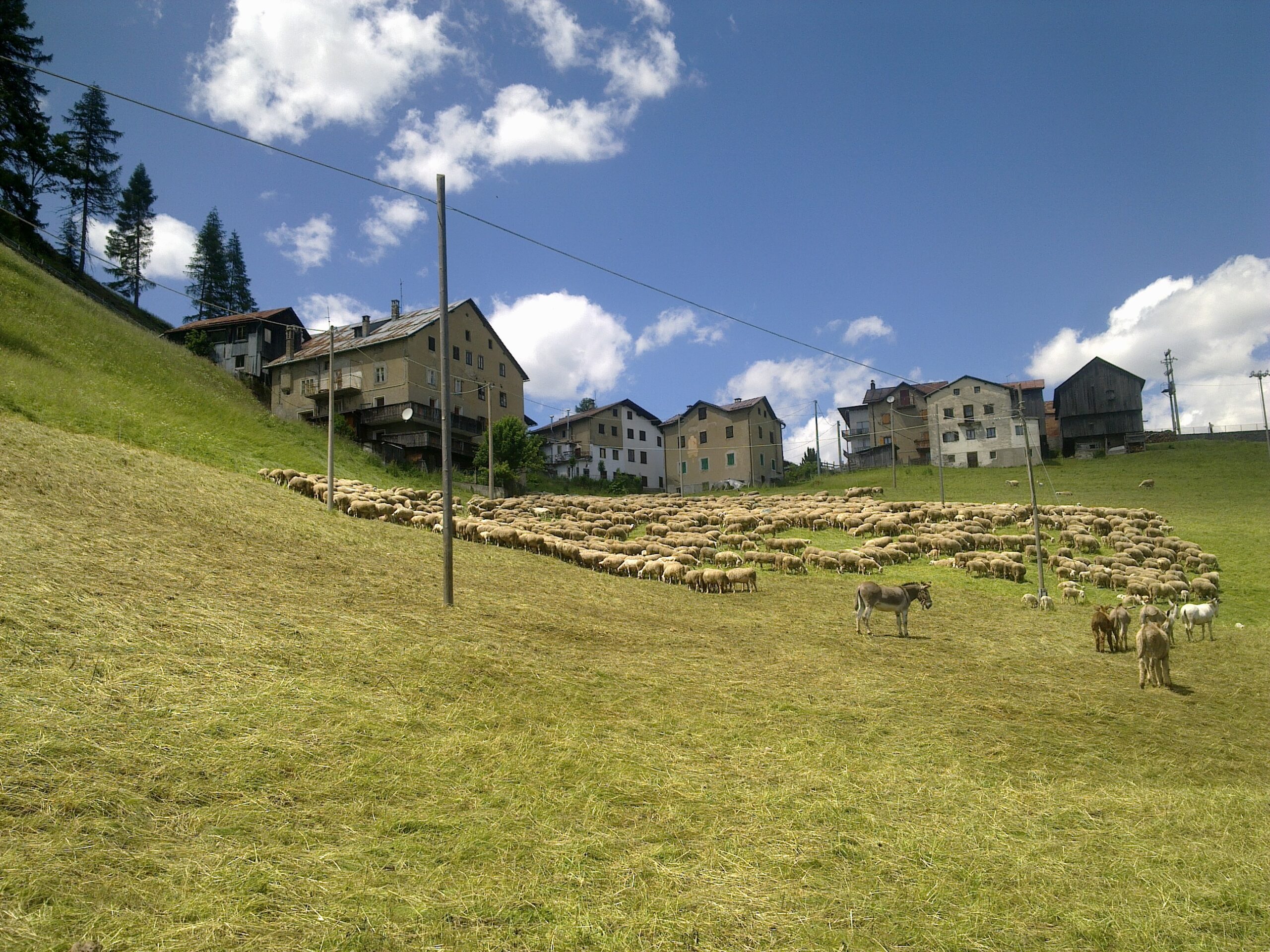 Laste di Sopra - Visit Marmolada